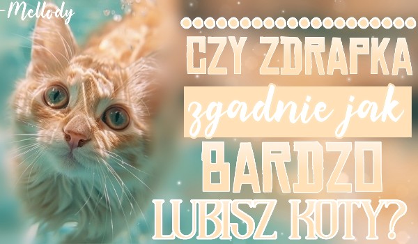 Czy zdrapka zgadnie jak bardzo lubisz koty? | sameQuizy
