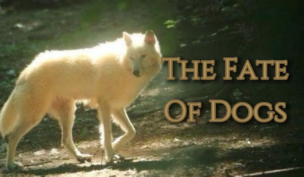 The Fate Of Dogs| chapter 3| sameQuizy