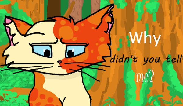 Why didn't you tell me...? ~part2~ | sameQuizy