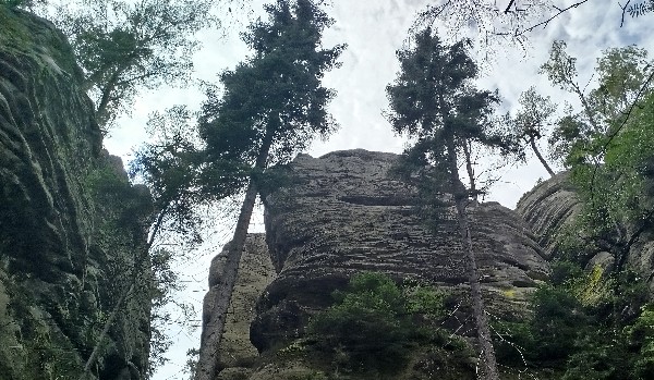 Czy nadajesz się na ofiarę? | sameQuizy