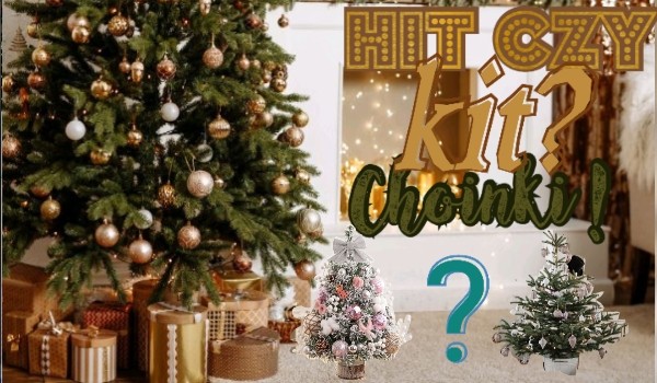 Hit czy kit? Choinki! | sameQuizy